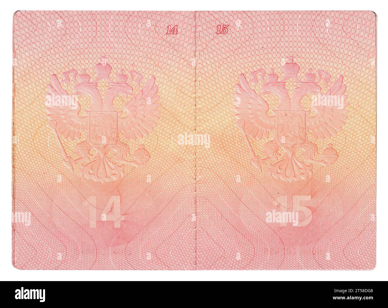 Blank passport pages on white Stock Photo - Alamy