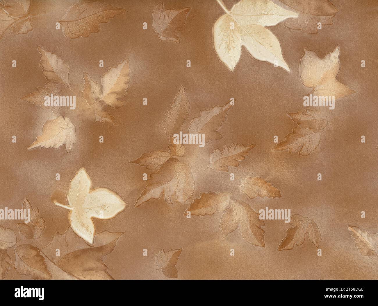 Vintage old paper circle hi-res stock photography and images - Alamy