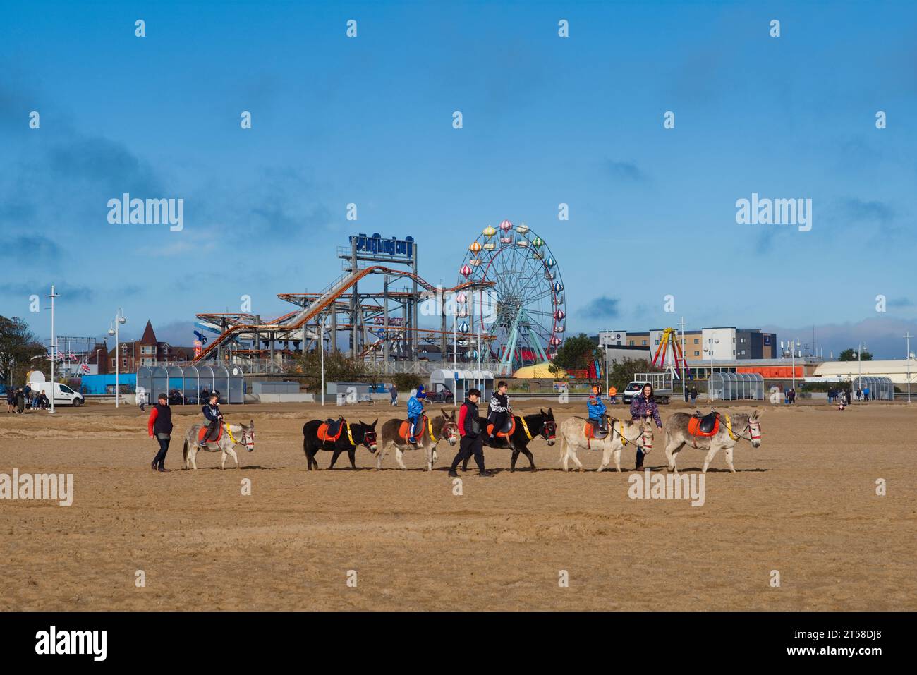 Nuttall's seaside donkeys at Skegness with the funfair in the ...