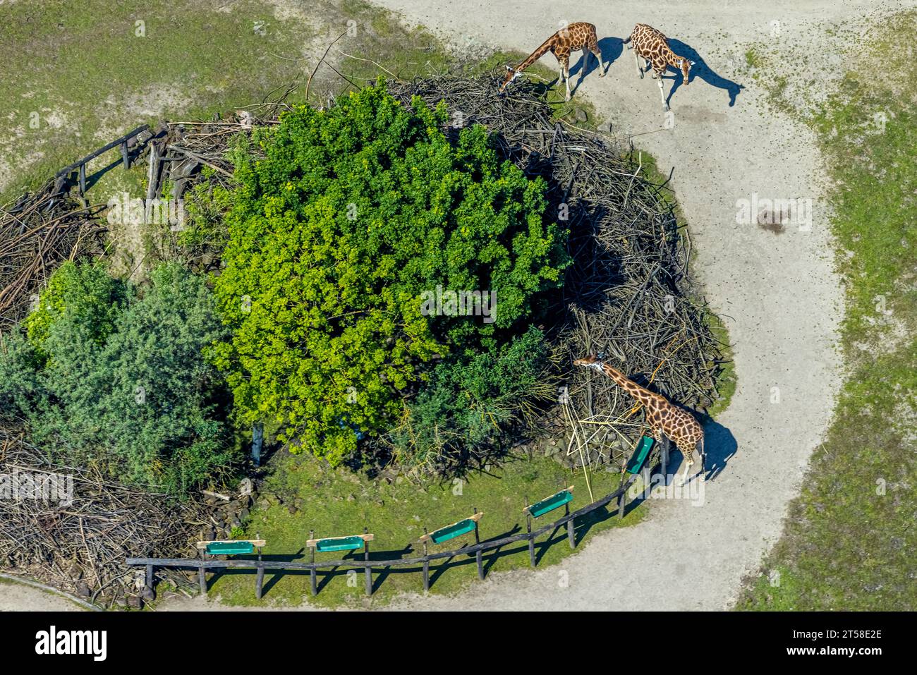 Aerial view, ZOOM Adventure World Zoo, giraffes, Bismarck ...