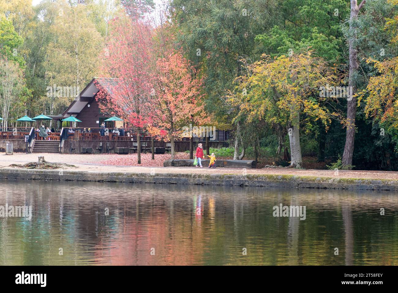 Wexham, UK. 3rd November, 2023. It was a day of dry weather mixed with ...