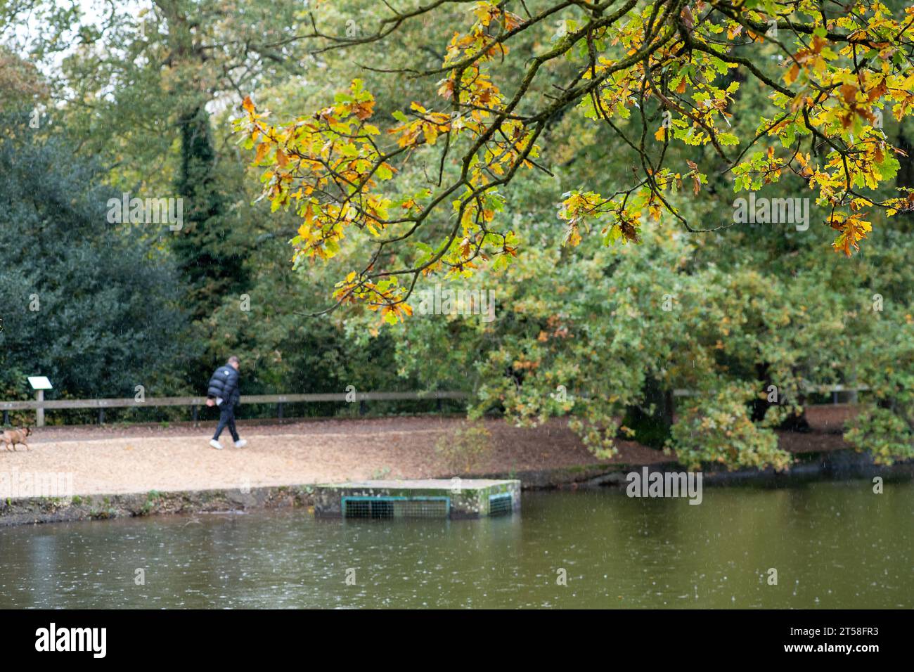 Wexham, UK. 3rd November, 2023. It was a day of dry weather mixed with ...