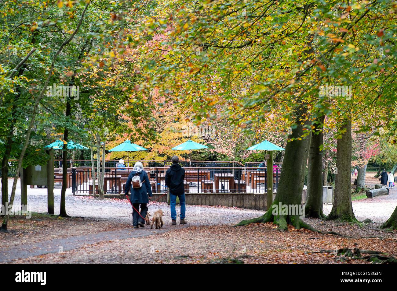 Wexham, UK. 3rd November, 2023. It was a day of dry weather mixed with ...