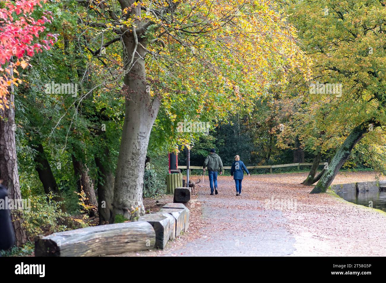 Wexham, UK. 3rd November, 2023. It was a day of dry weather mixed with ...