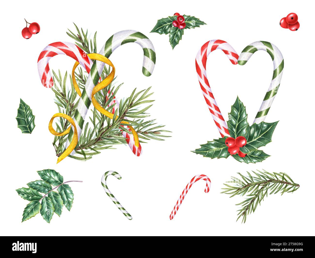 Set of candy canes, spruce branch with gold ribbon. Caramel decorated ...