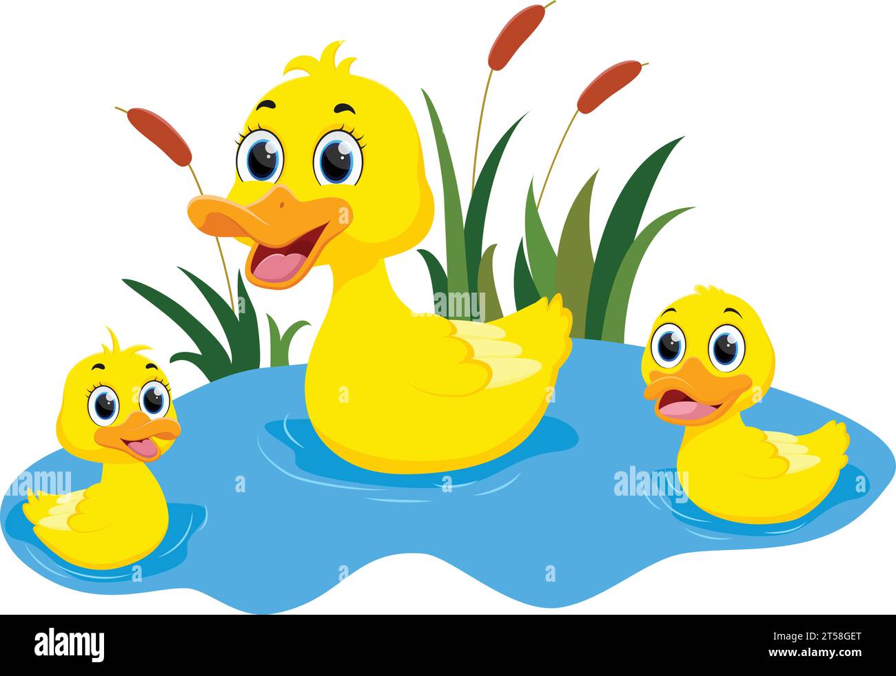 Duck family swim Stock Vector Images - Alamy