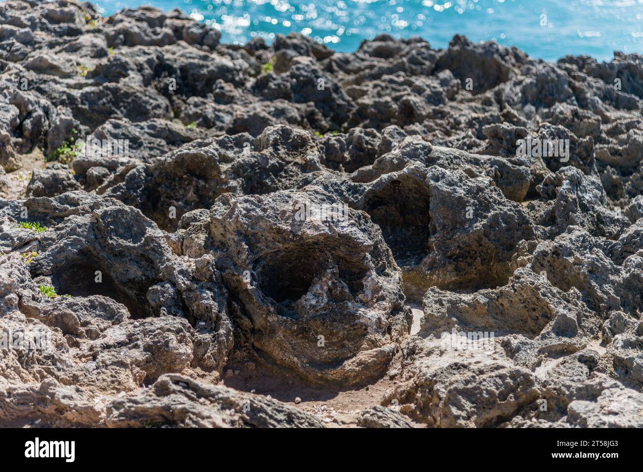 Skull shaped rock at the Turtle Bay coast on Oahu, Hawaii Stock Photo ...