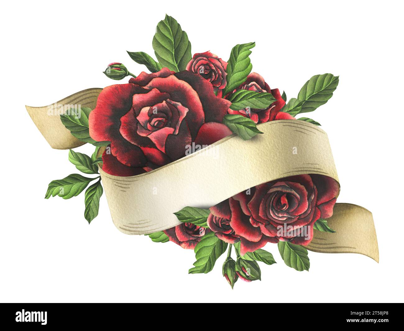 Red-black rose flowers with green leaves, paper ribbon and buds, chic ...
