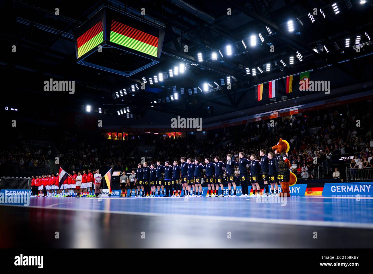 Neu Ulm, Germany. 03rd Nov, 2023. Handball: International match, test ...