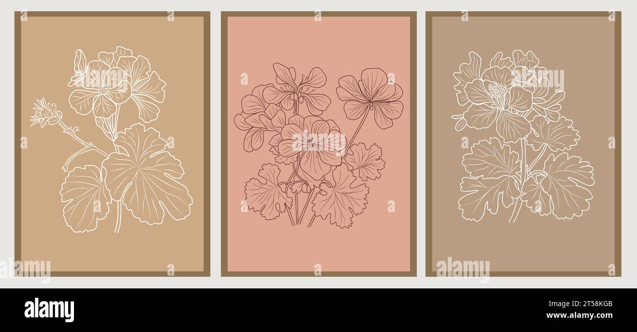 Geranium flower Line Drawing Print vector Set Stock Vector Image & Art ...