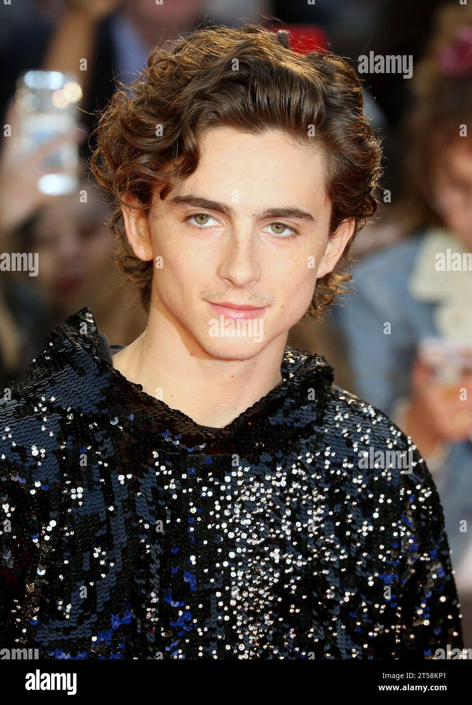 Timothee Chalamet attends "The King" UK Premiere during the 63rd BFI ...
