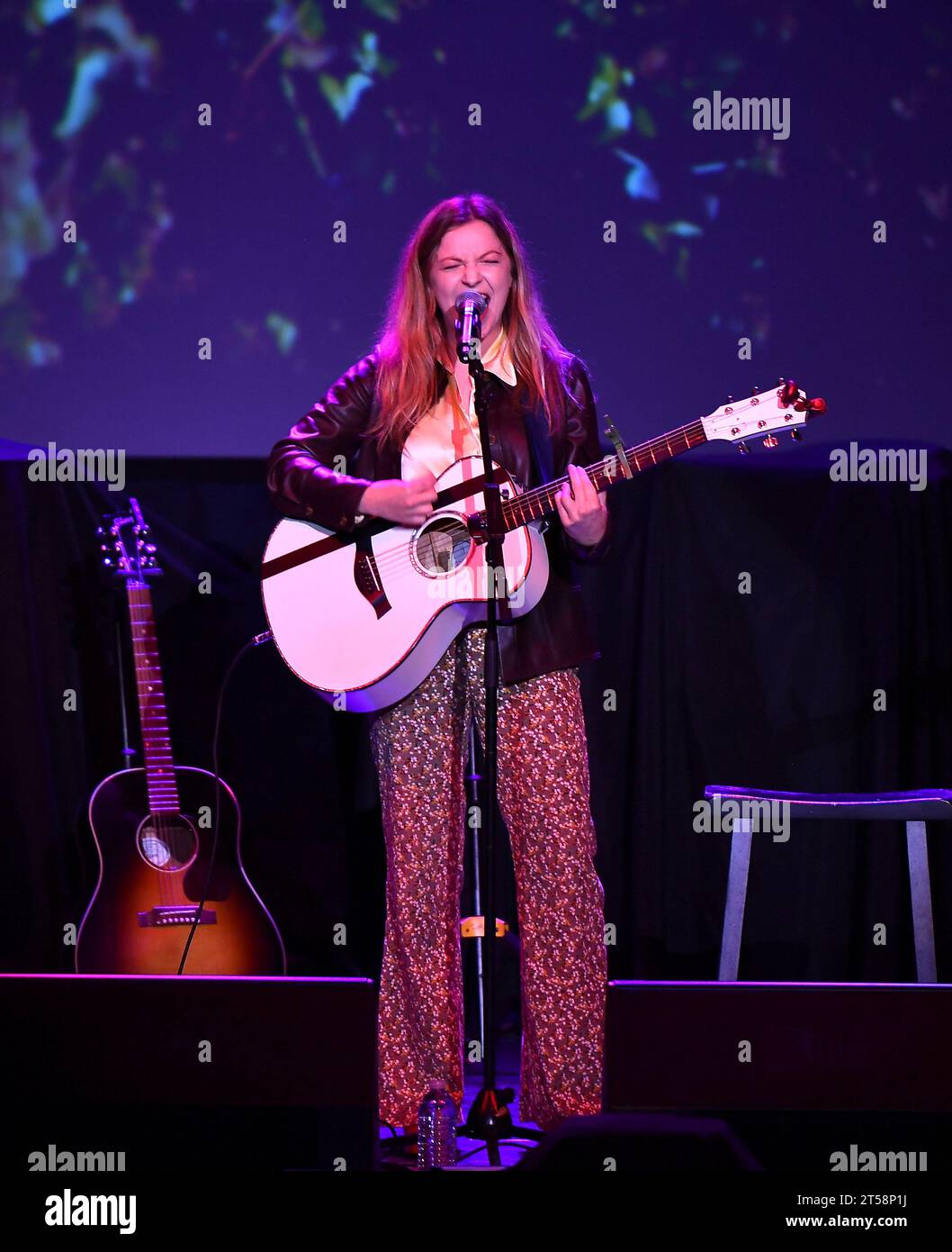Napa, USA. 02nd Nov, 2023. Jade Bird performs during Day 2 of Live In ...