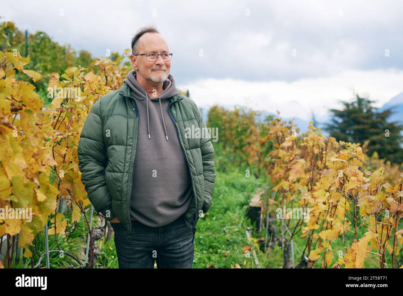 Outdoor portrait of middle age 55 - 60 year old man enjoing nice autumn ...