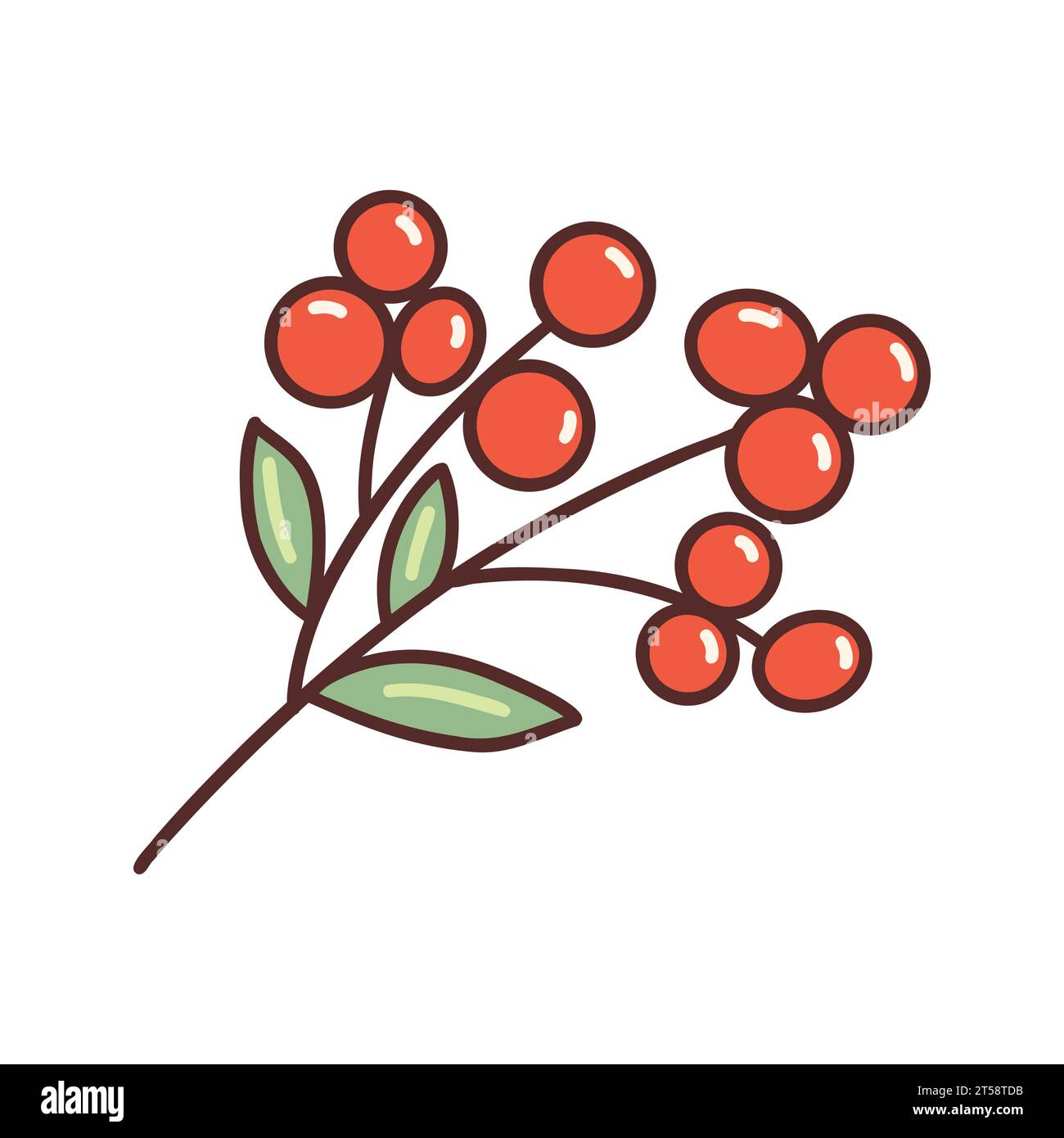 Sprig of red rowan. Autumn or winter plant. Icon on white background ...