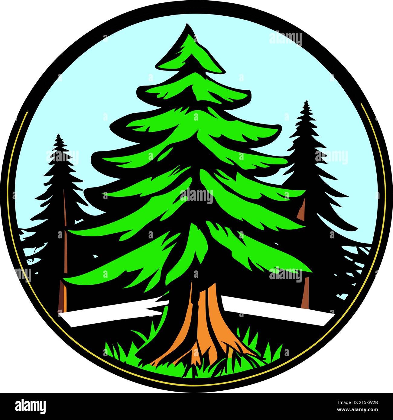 graphic illustrated Pine tree forest Christmas illustration vector ...