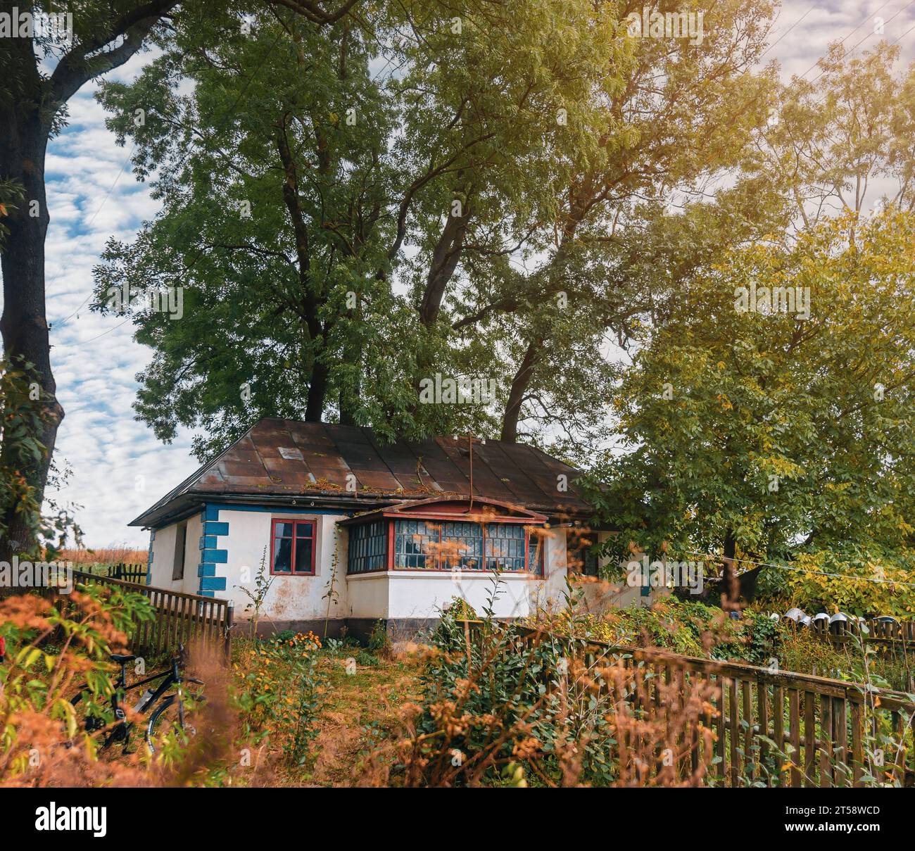 Neglected abandoned house with old fence among grass and trees. Rural ...
