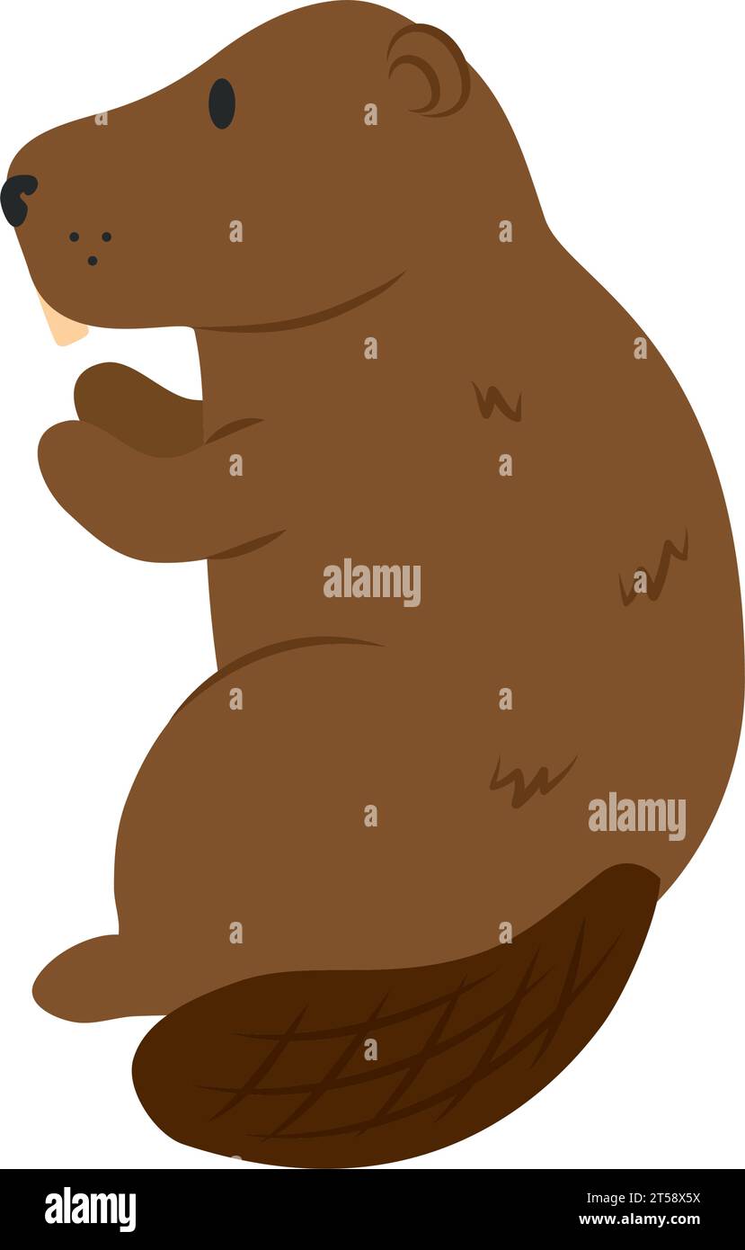 beaver cute illustration Stock Vector Image & Art - Alamy