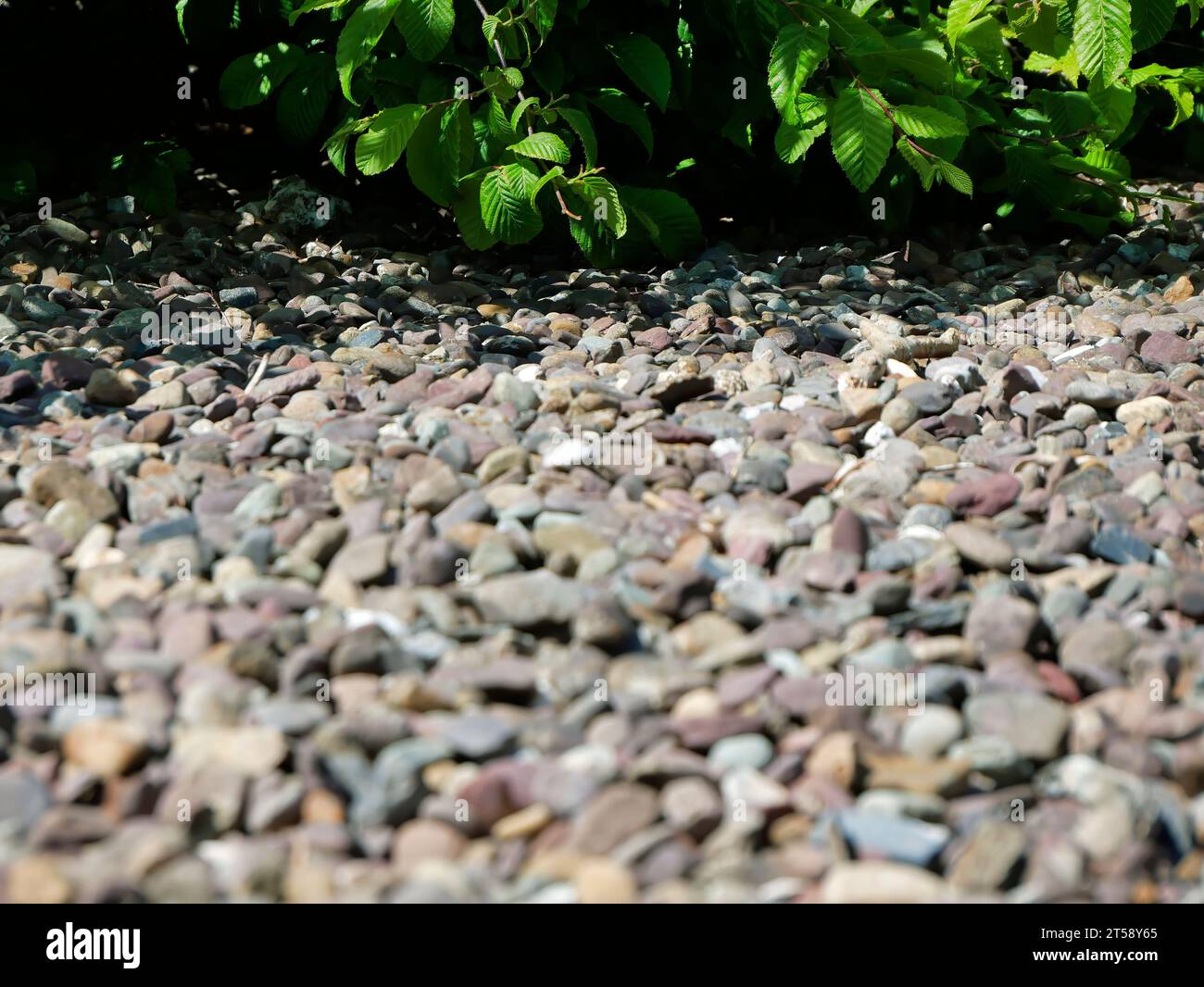 Stone ground pattern, natural stone texture, ground pavement background ...