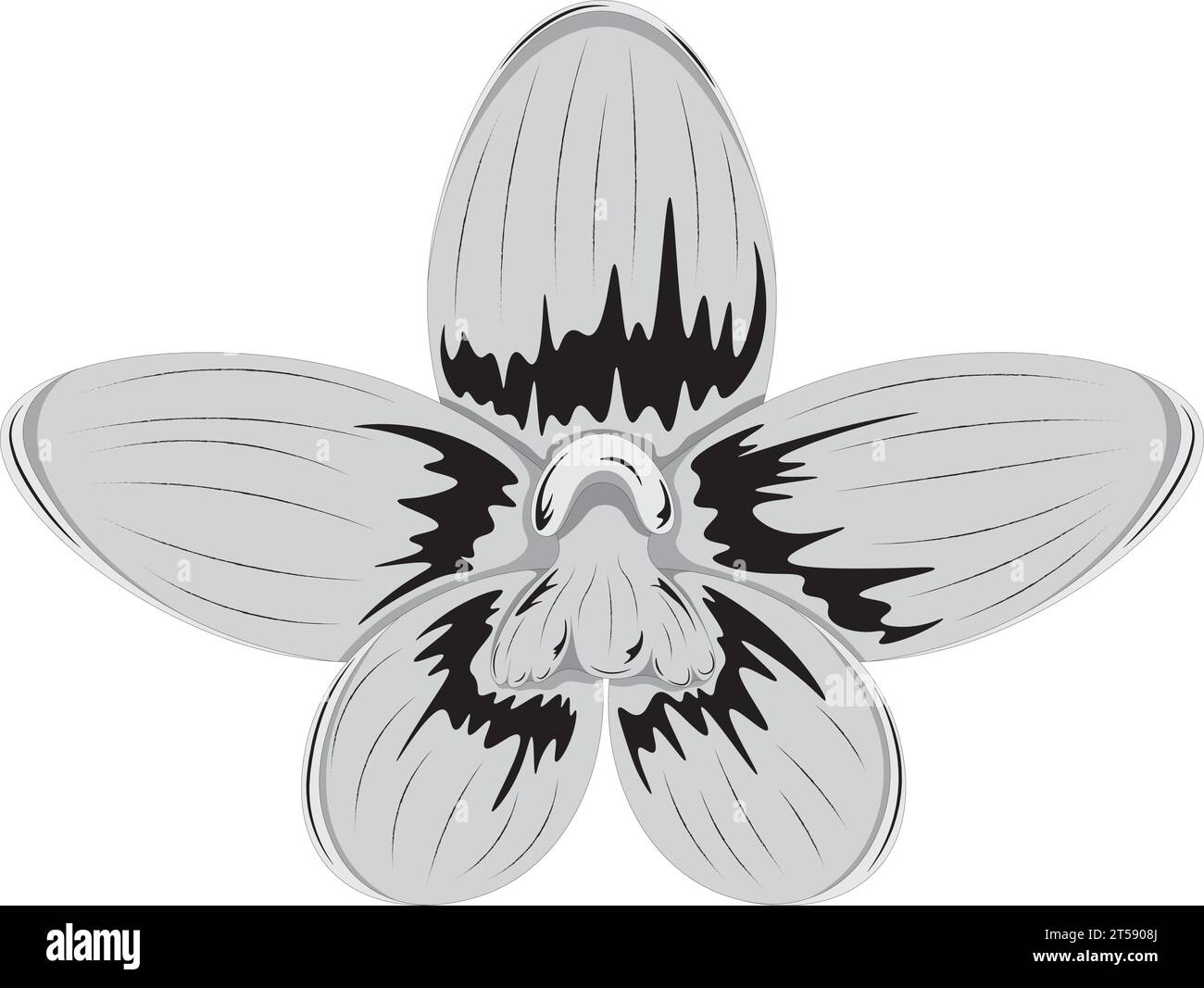 Uncolored flower Stock Vector Images - Alamy