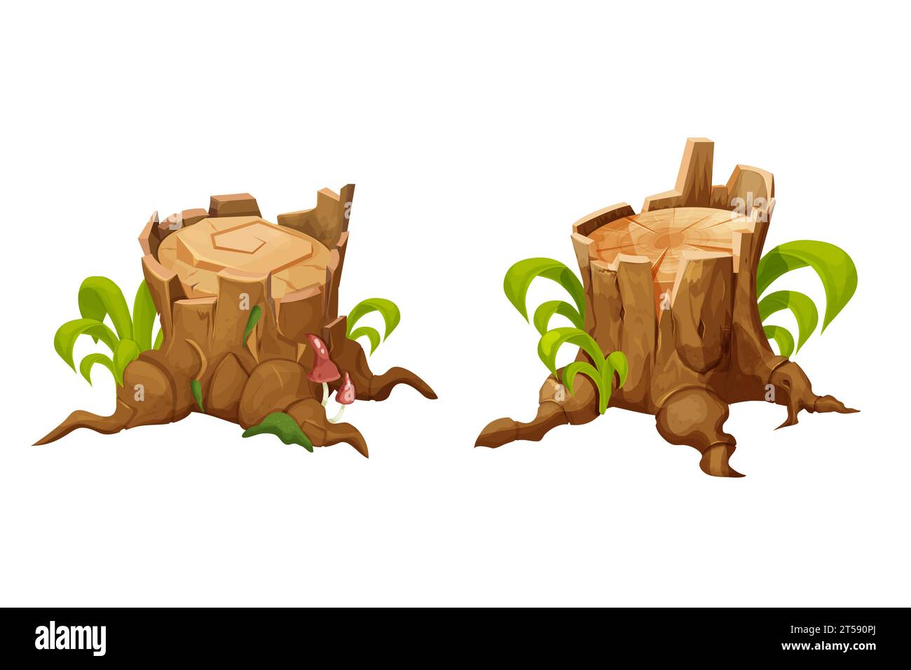 Wooden stump forest tree trunk with roots, grass and moss, cut section ...