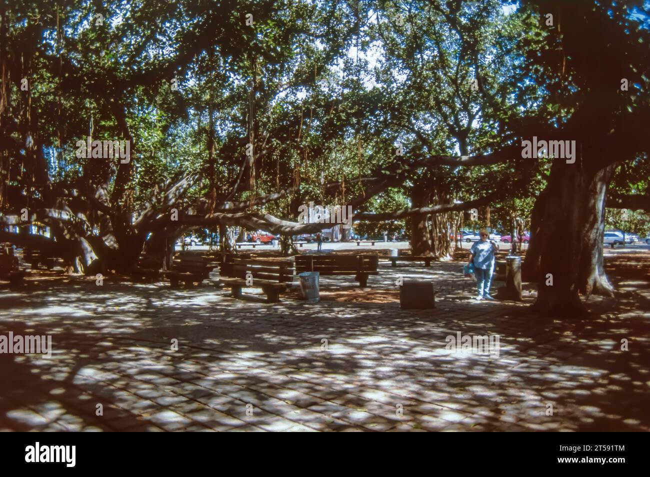 Lahaina, Maui, Hawaii, June 2, 1989 - Old Slide of The Historic 150 ...