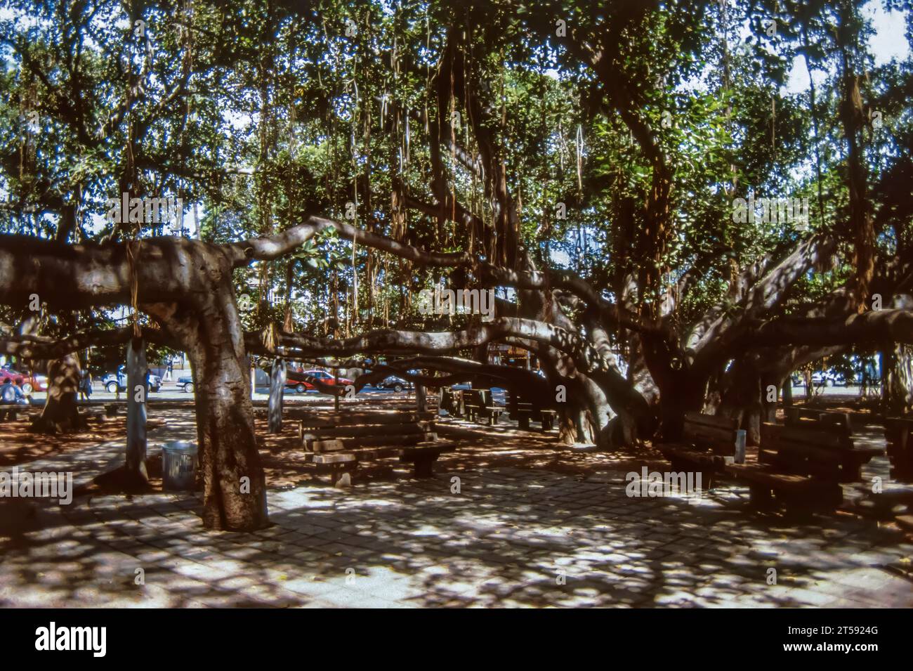 Lahaina, Maui, Hawaii, June 2, 1989 - Old Slide of The Historic 150 ...