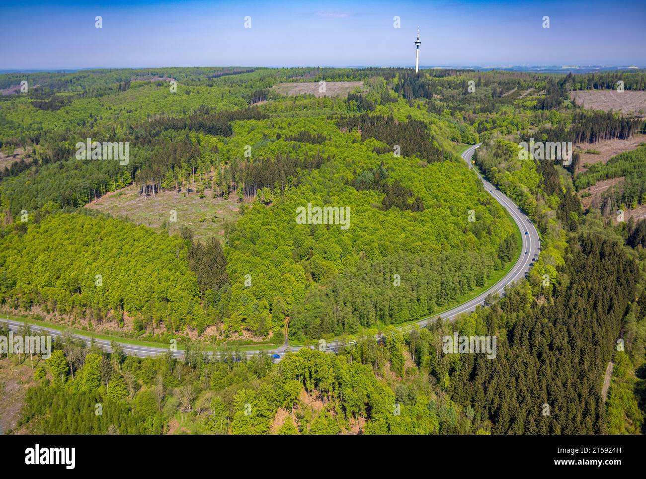 Aerial photo, forest damage, serpentine road federal highway B55 ...