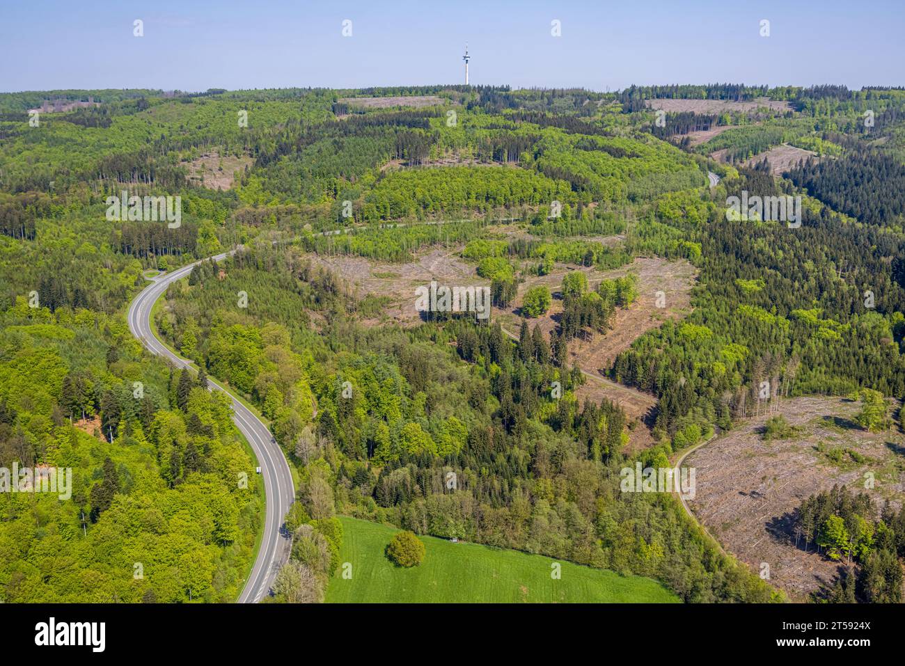 Aerial photo, forest damage, serpentine road federal highway B55 ...