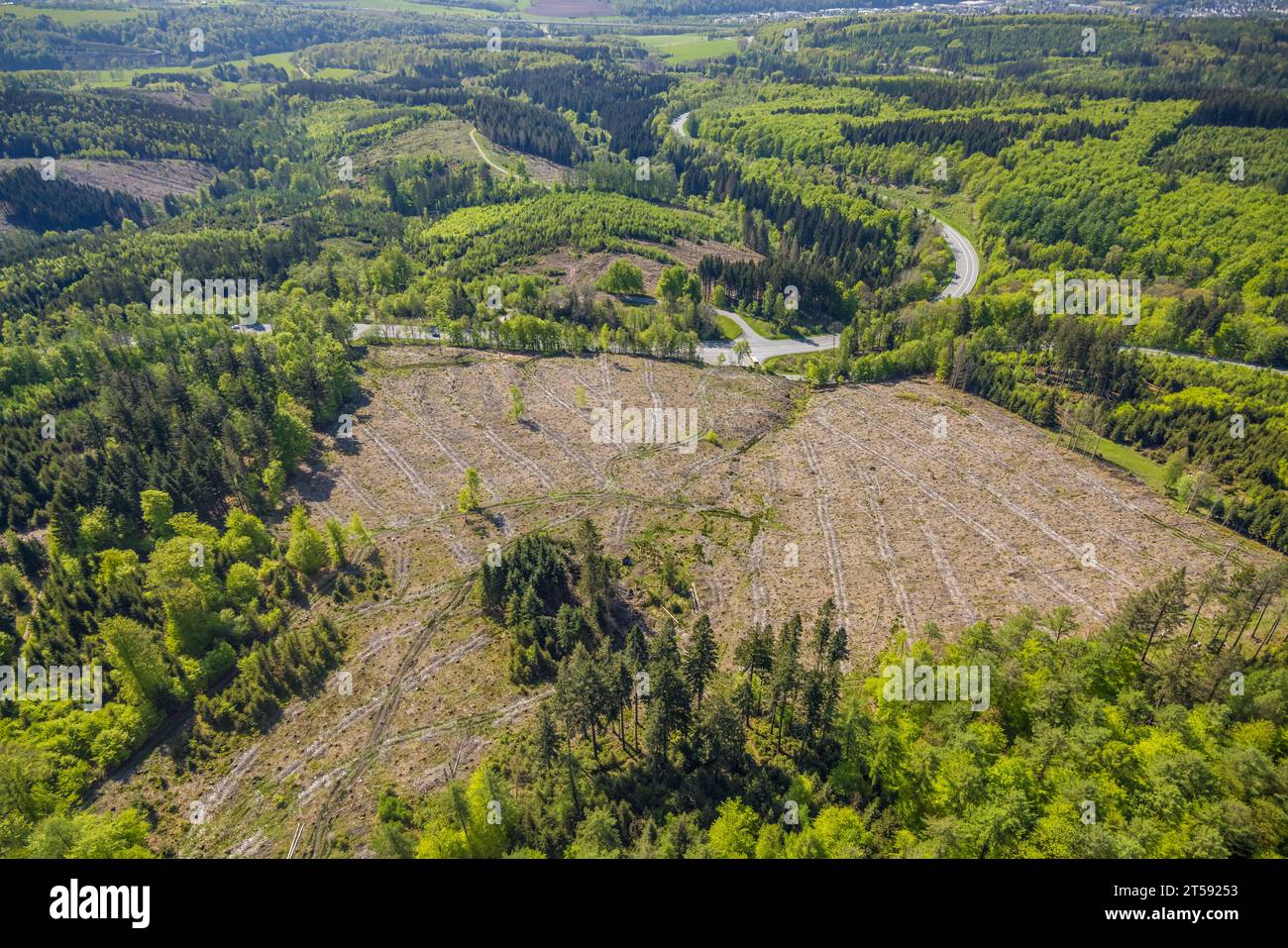 Steinmecke nature reserve hi-res stock photography and images - Alamy