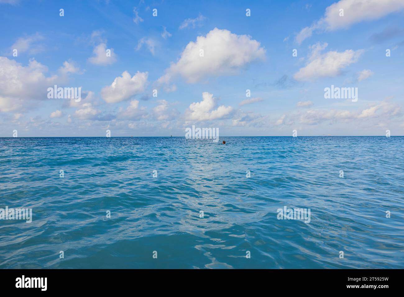 Stunning view of Caribbean sea blue waters in Aruba against backdrop of ...