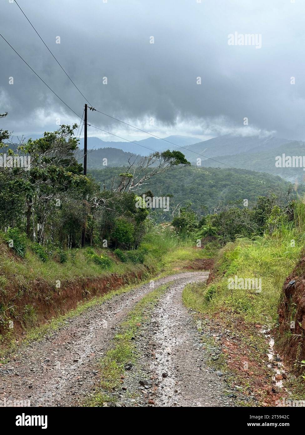 A scenic dirt road cutting through a lush landscape of rolling hills ...