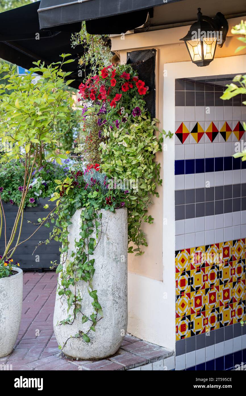 Large concrete decorative pot with floral arrangement on brown tiles at ...