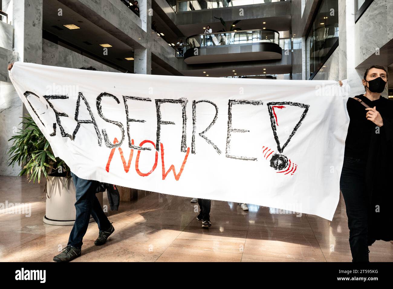 Washington, United States. 03rd Nov, 2023. "Free Palestine/Gaza ...