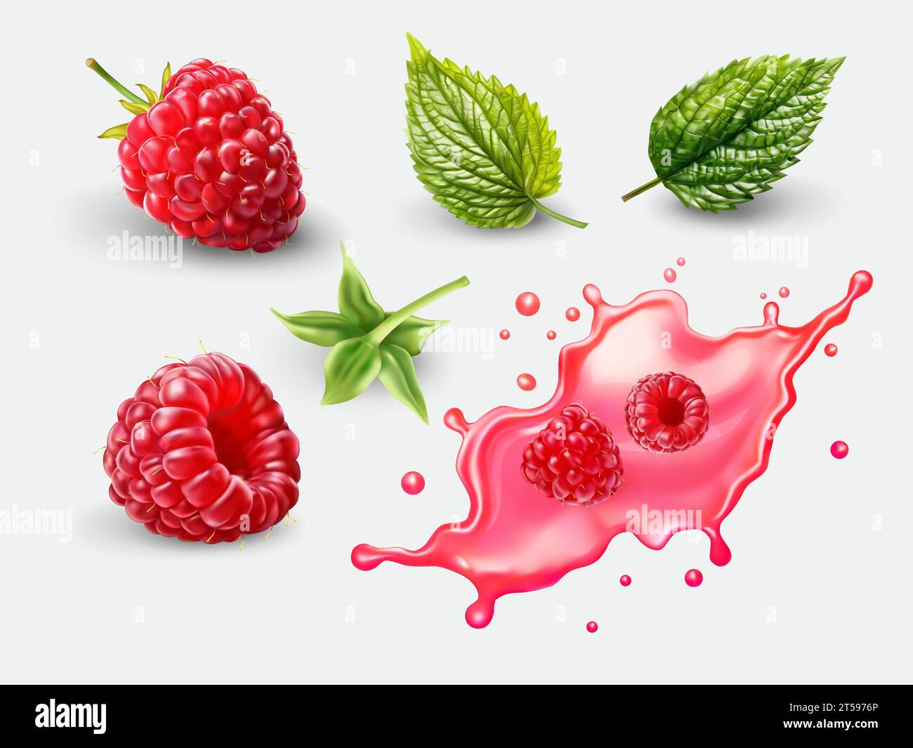 Realistic raspberry fruit with leaf and splash vector set on white ...