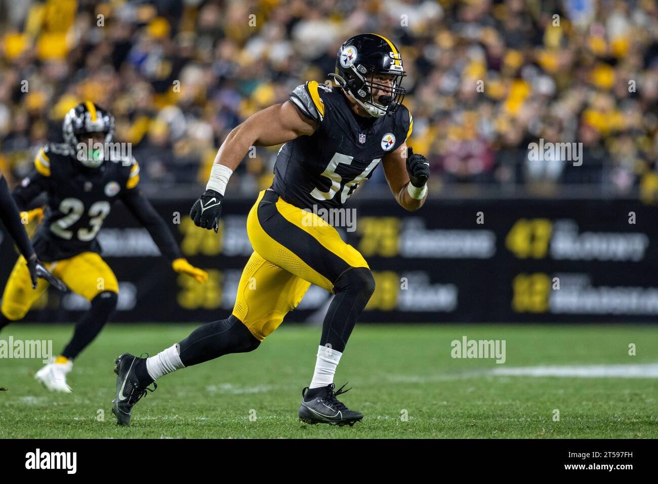 Pittsburgh Steelers linebacker Alex Highsmith (56) defends during an ...