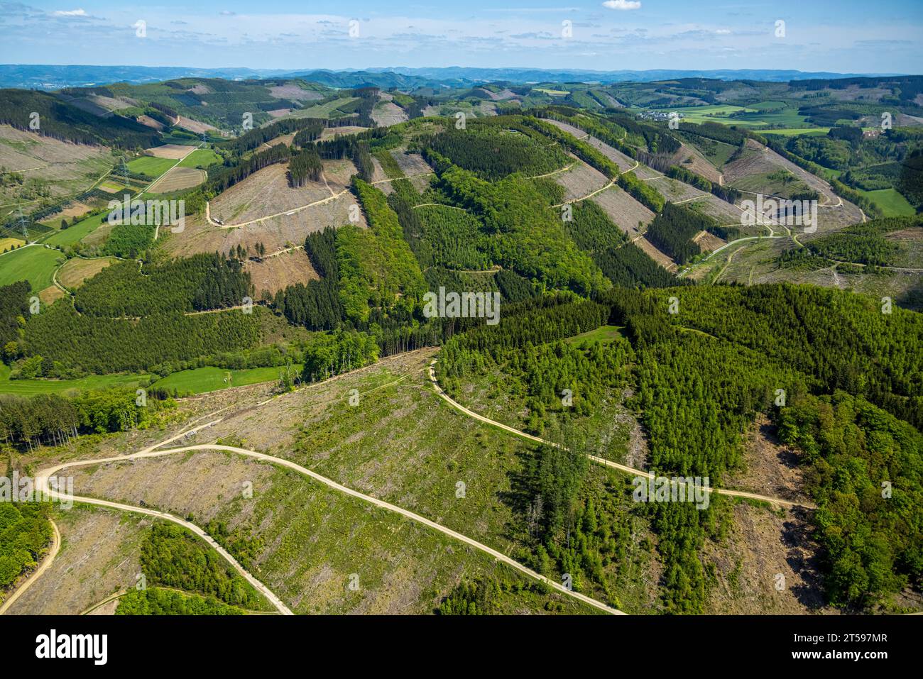 Hiking trails in forest area with forest damage hi-res stock ...