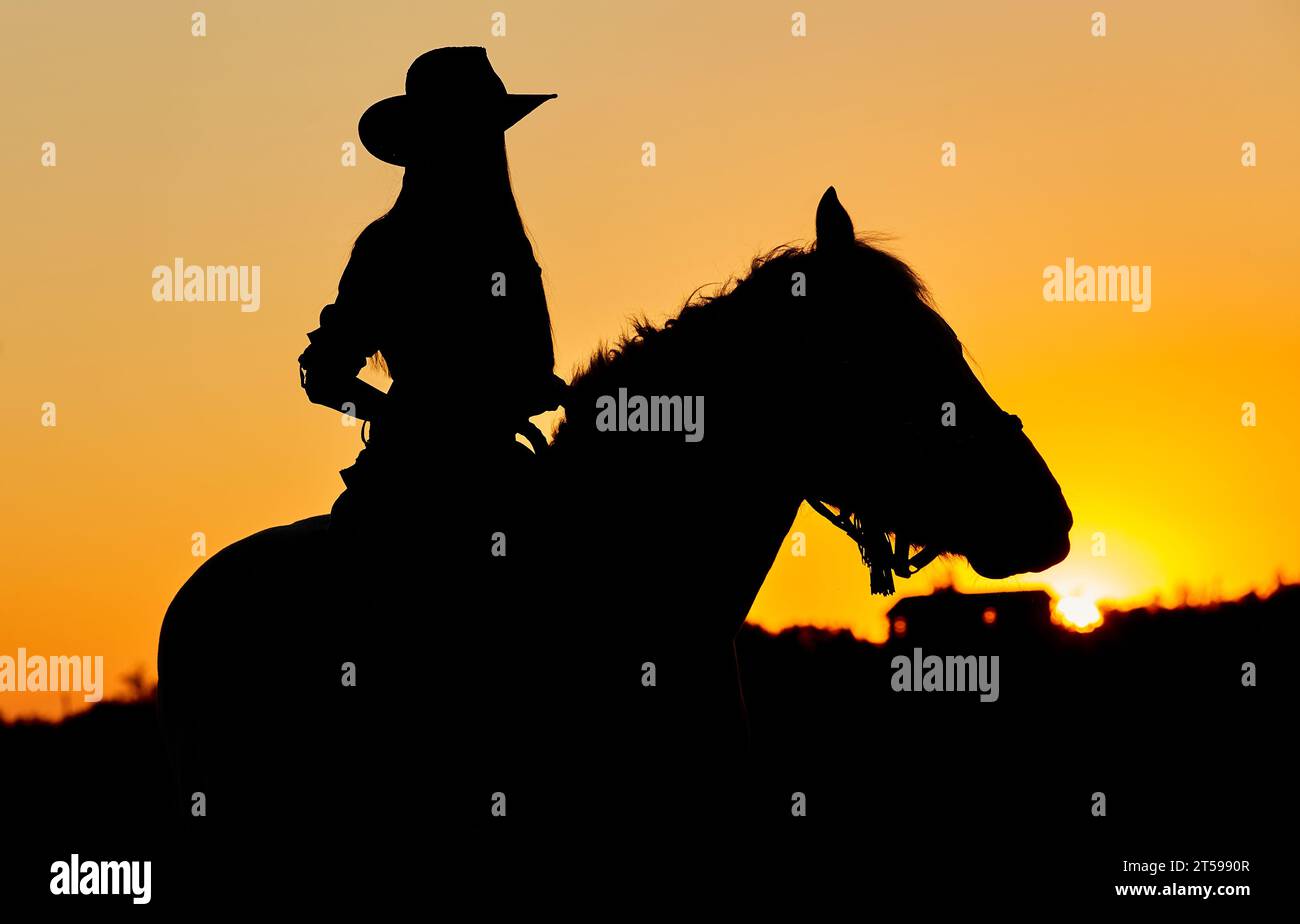 Horseback woman riding on galloping horse with red rising sun on ...