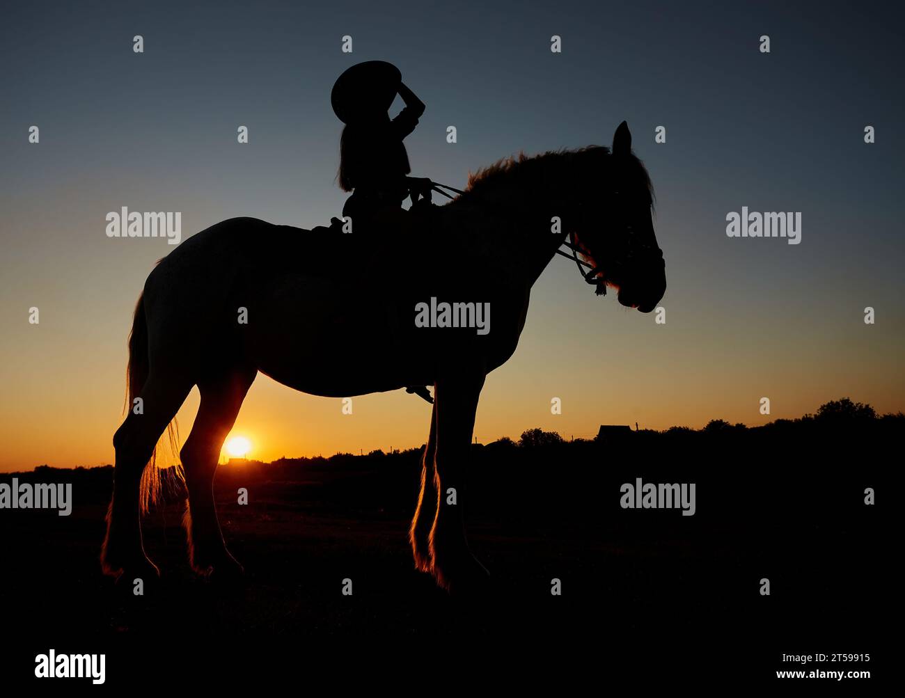 Horseback woman riding on galloping horse with red rising sun on ...