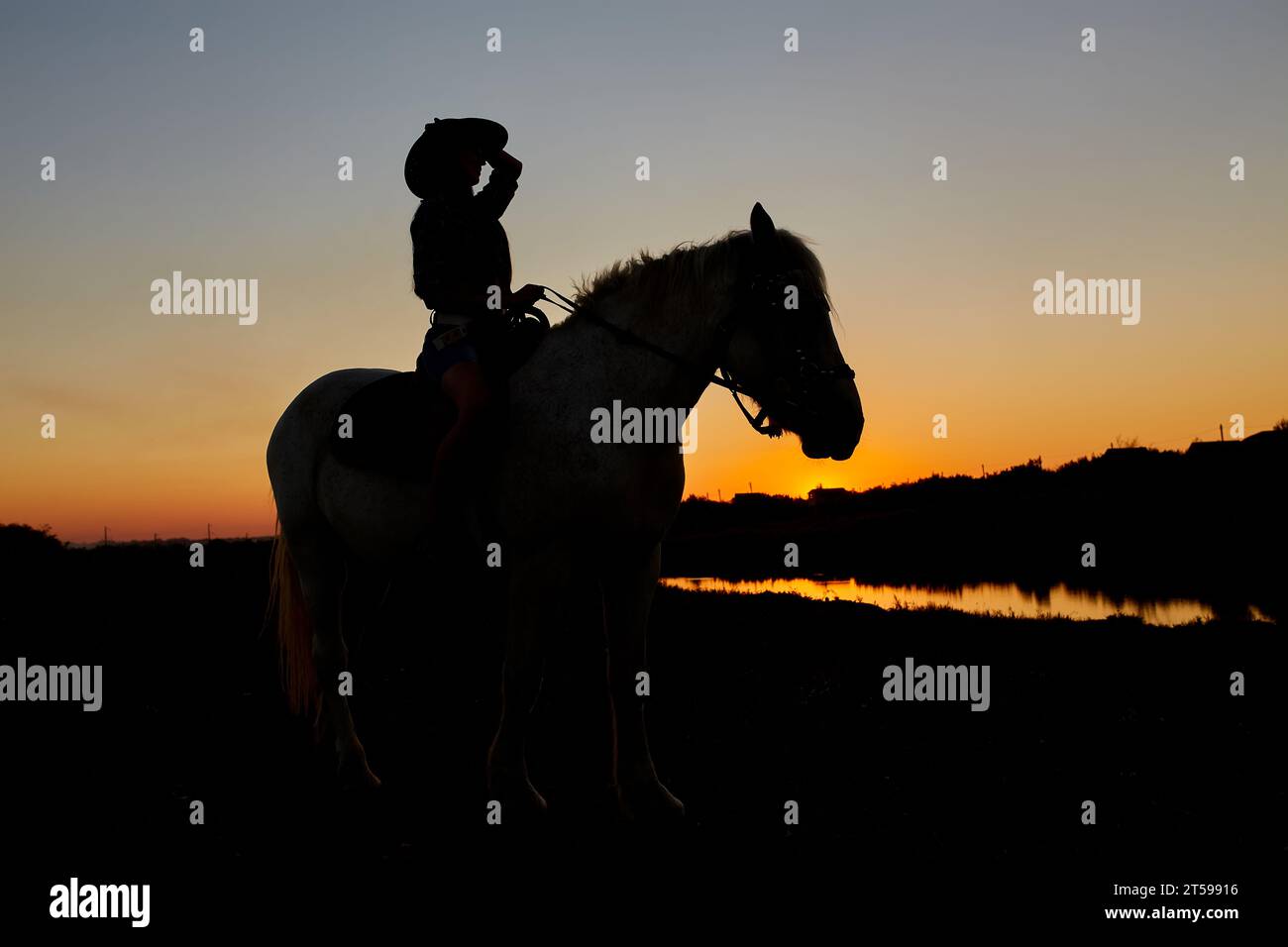Horseback woman riding on galloping horse with red rising sun on ...