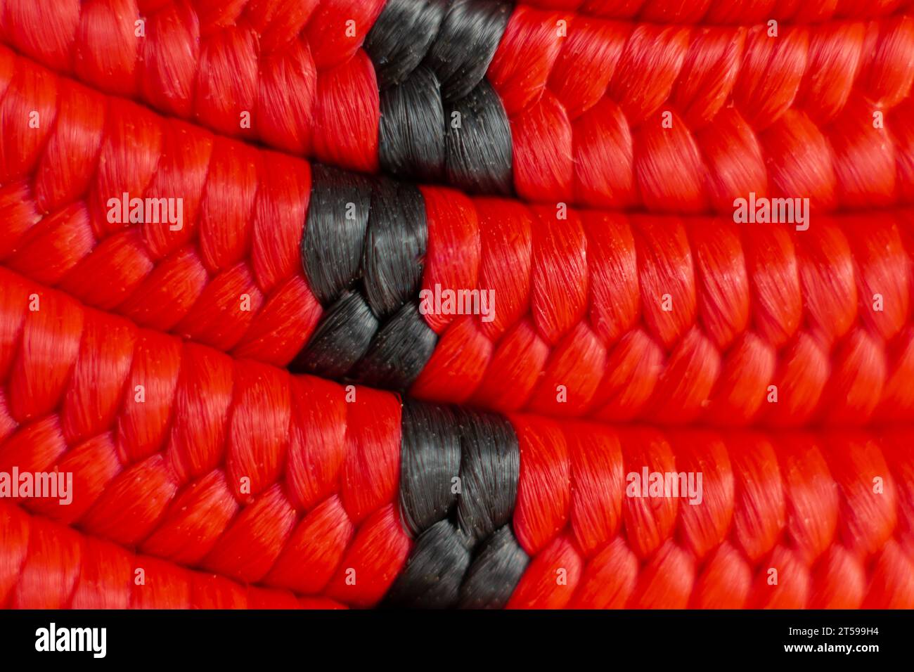 Texture of an elastic rope with a coiled hook, in red and black. Macro ...