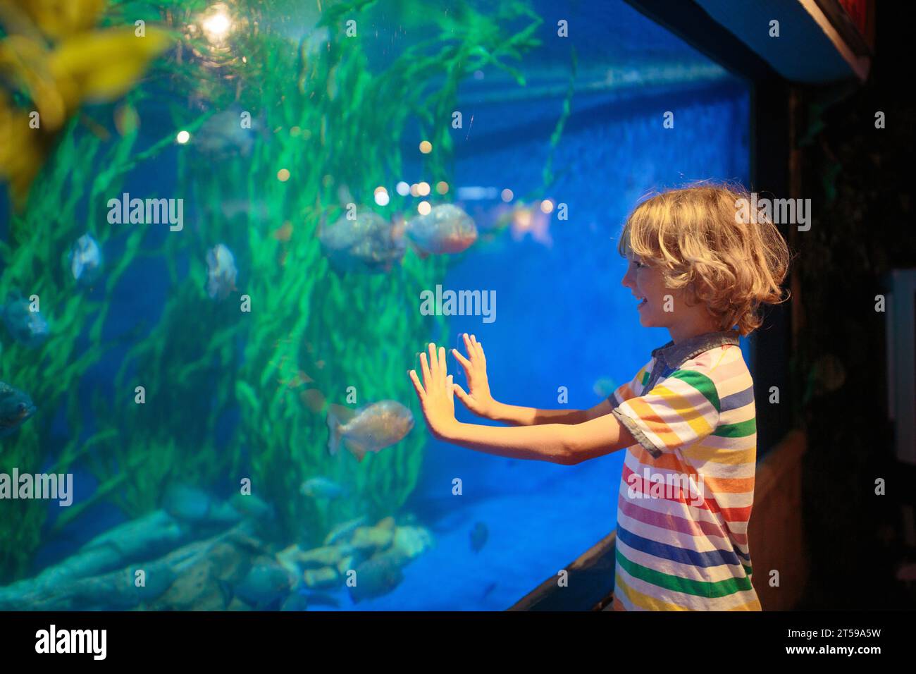 Family in aquarium. Kids watch tropical fish, marine life. Child ...