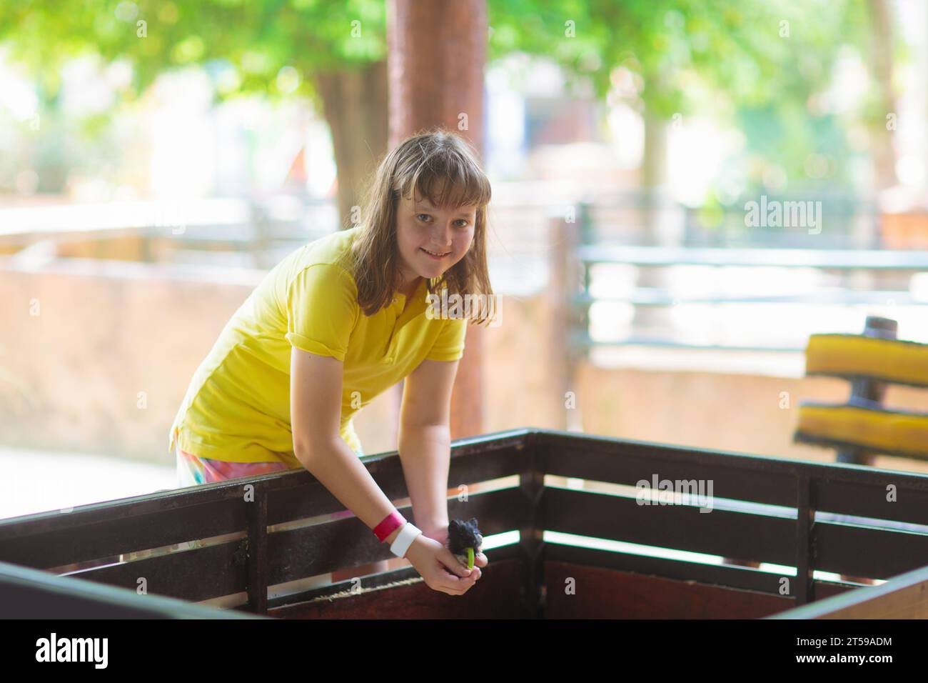 Kids feed animals at petting zoo. Family day trip to safari park. Child ...