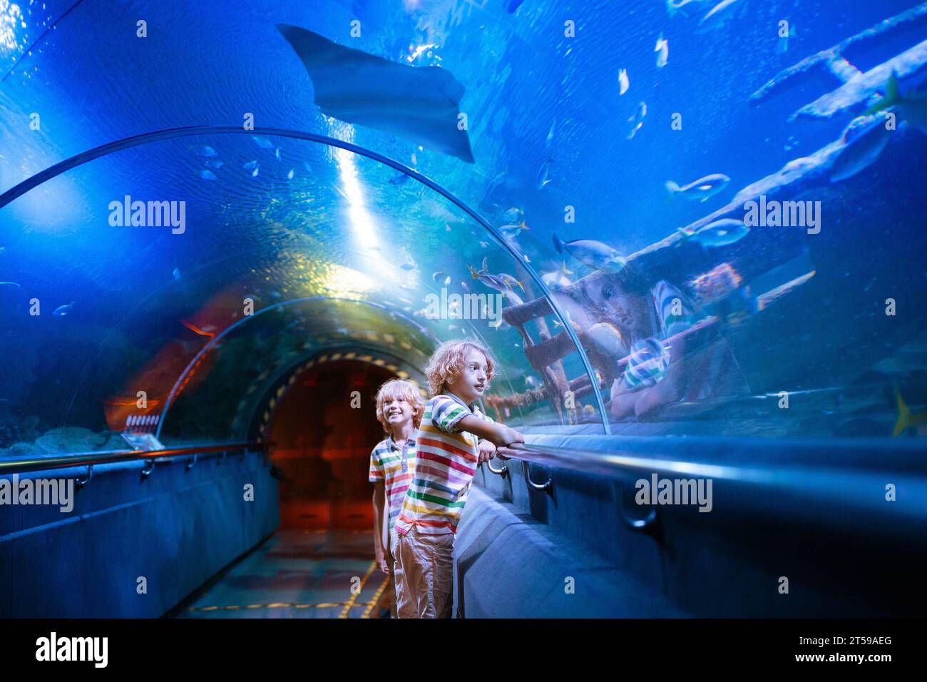 Family in aquarium. Kids watch tropical fish, marine life. Child ...