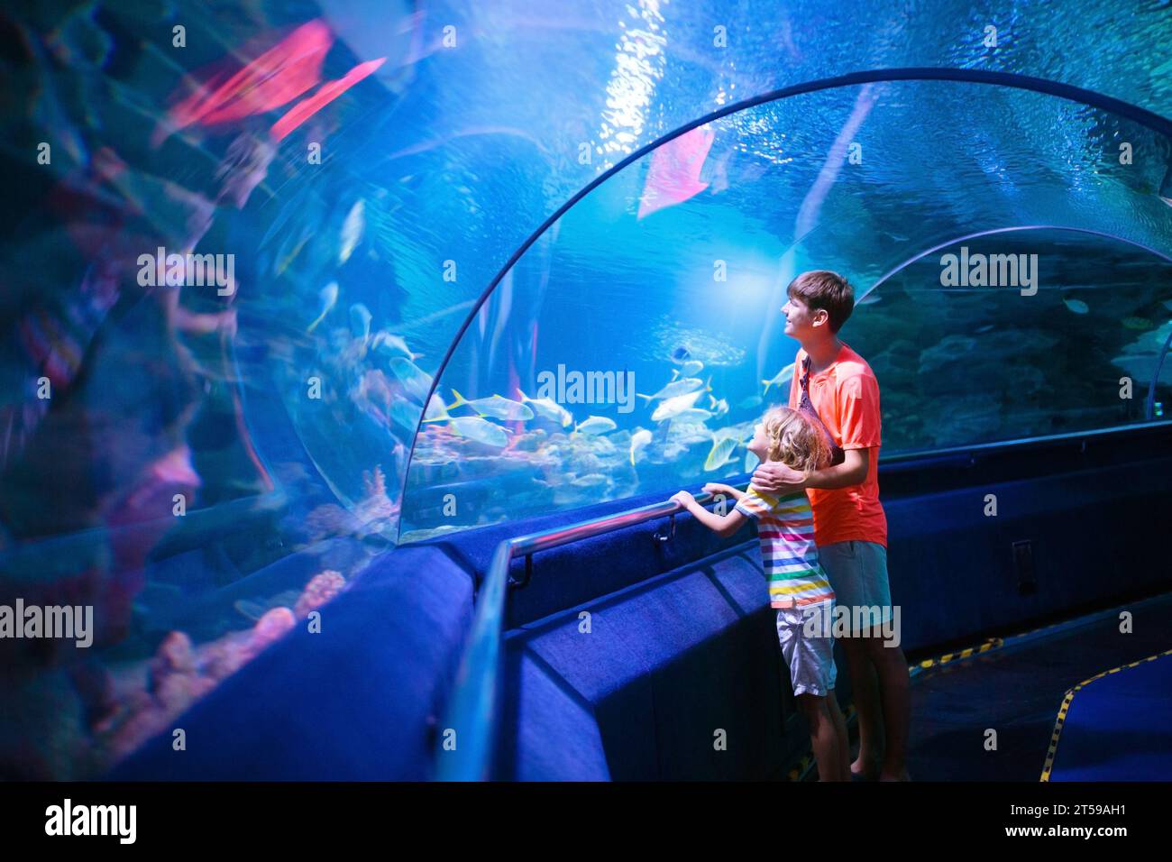 Family in aquarium. Kids watch tropical fish, marine life. Child ...