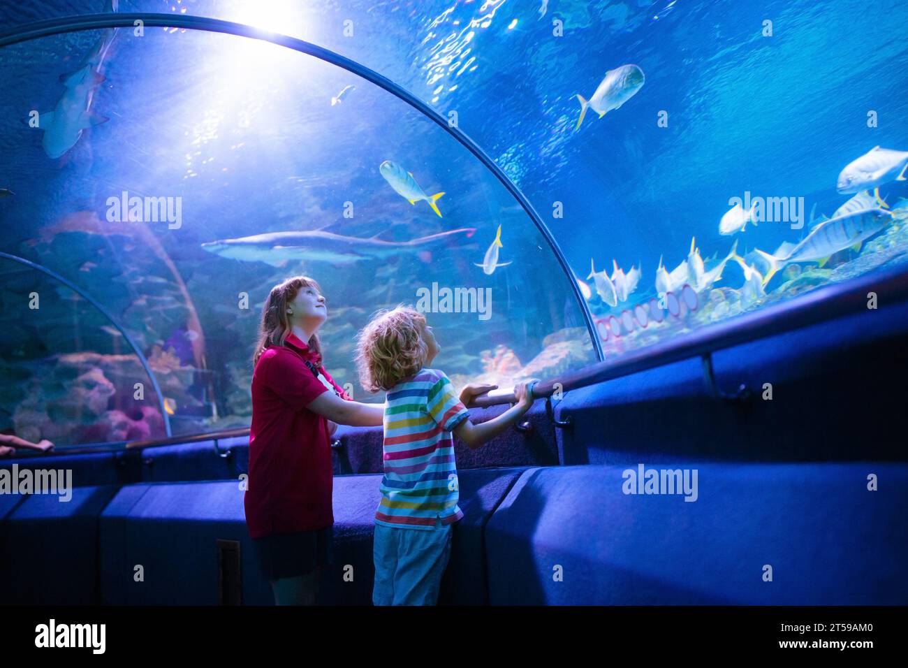 Family in aquarium. Kids watch tropical fish, marine life. Child ...