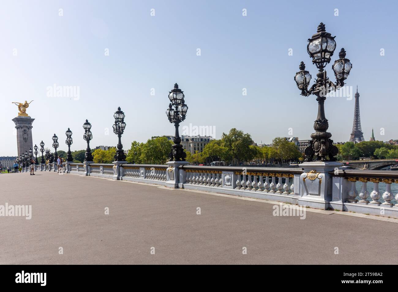 The Eiffel Tower from Pont Alexandre III bridge, 8th arrondissement, Paris, Île-de-France ...