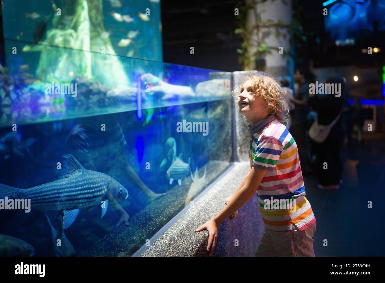 Family in aquarium. Kids watch tropical fish, marine life. Child ...