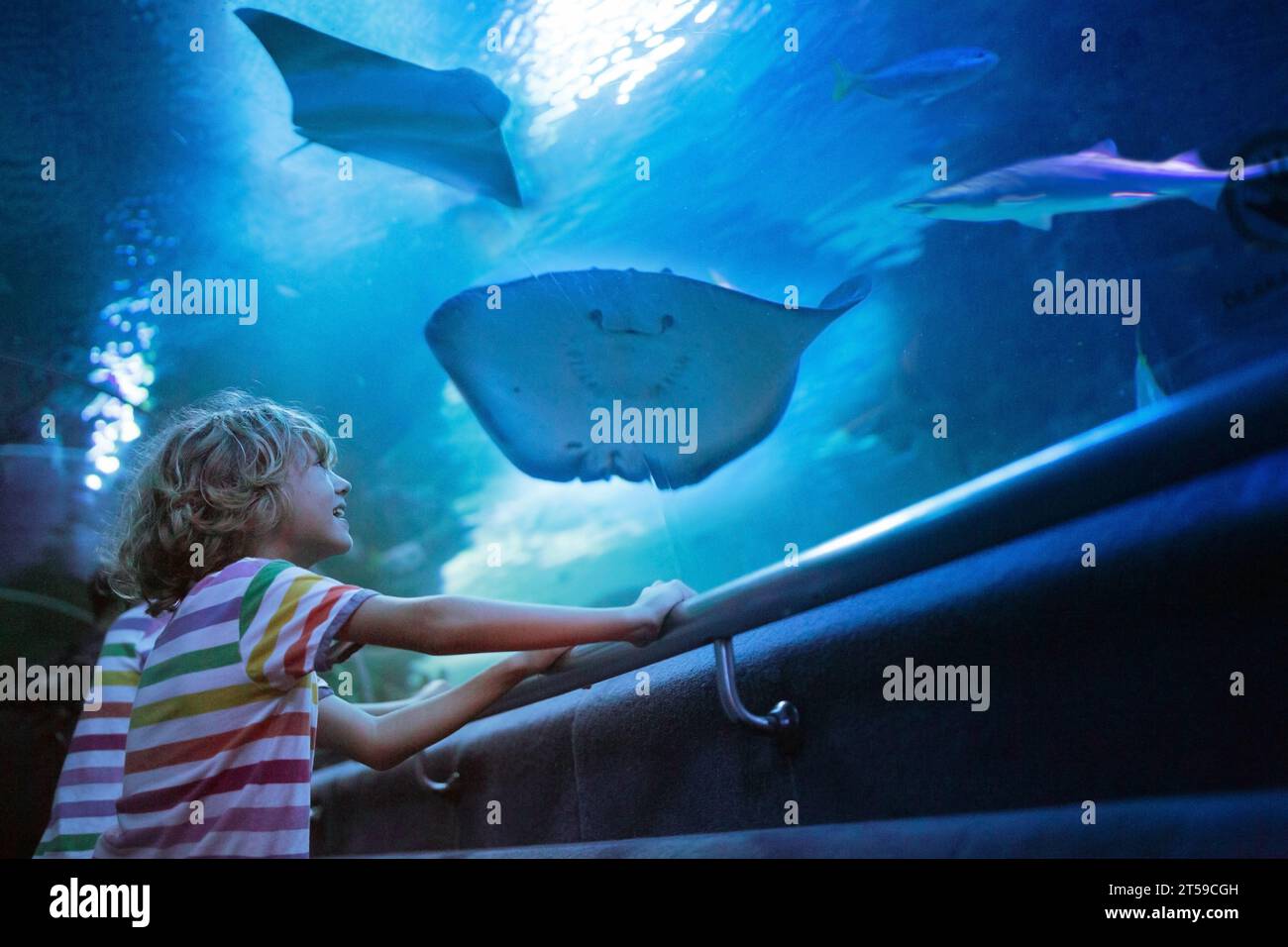 Family in aquarium. Kids watch tropical fish, marine life. Child ...