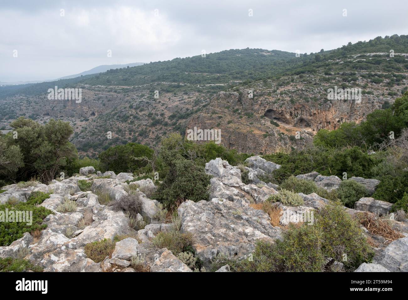 mountain peaks on the Lebanon-Israel border, Golan Heights in the ...