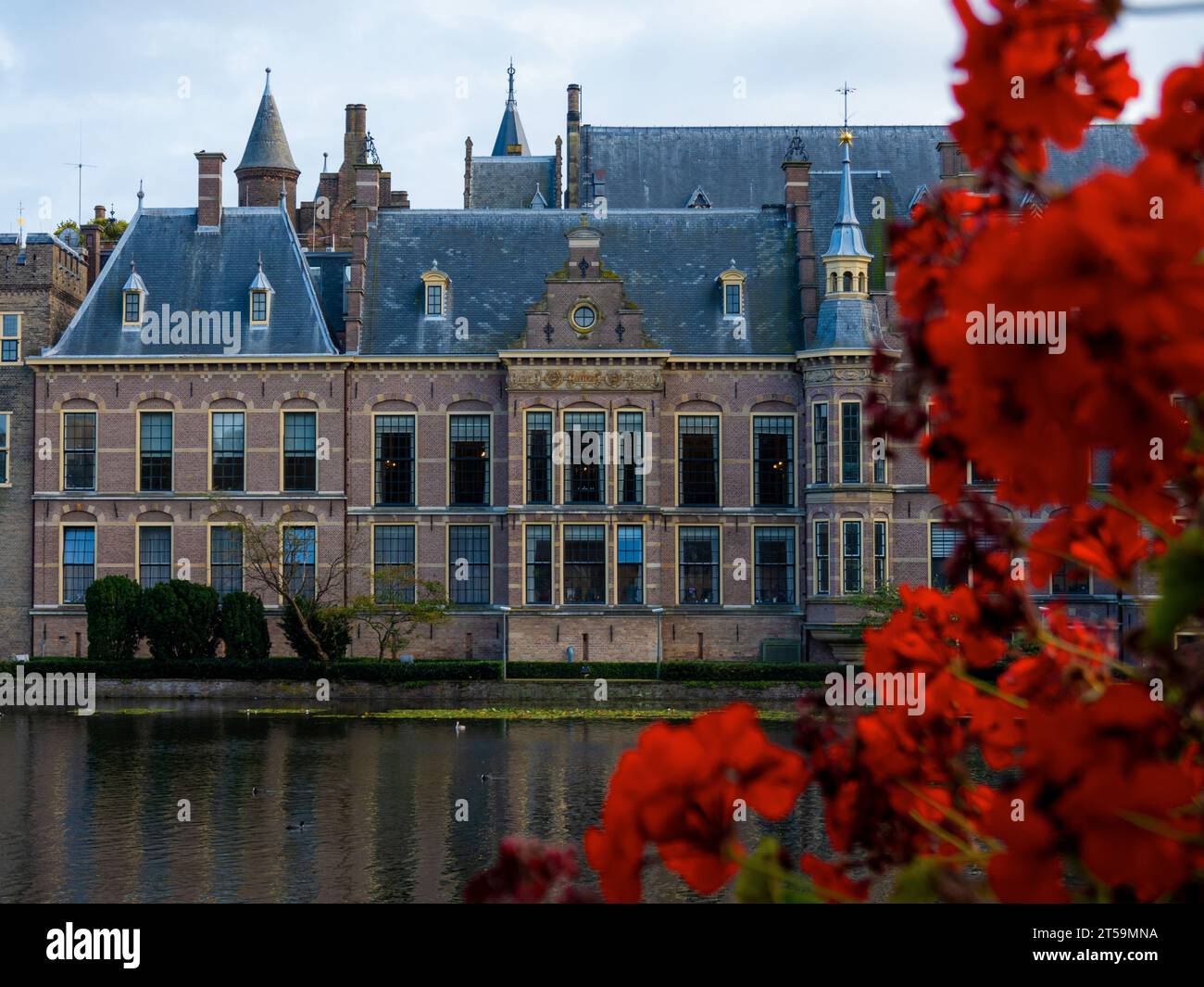 The Hague Binnenhof Palace beside the Hohvijfer canal. Netherlands ...